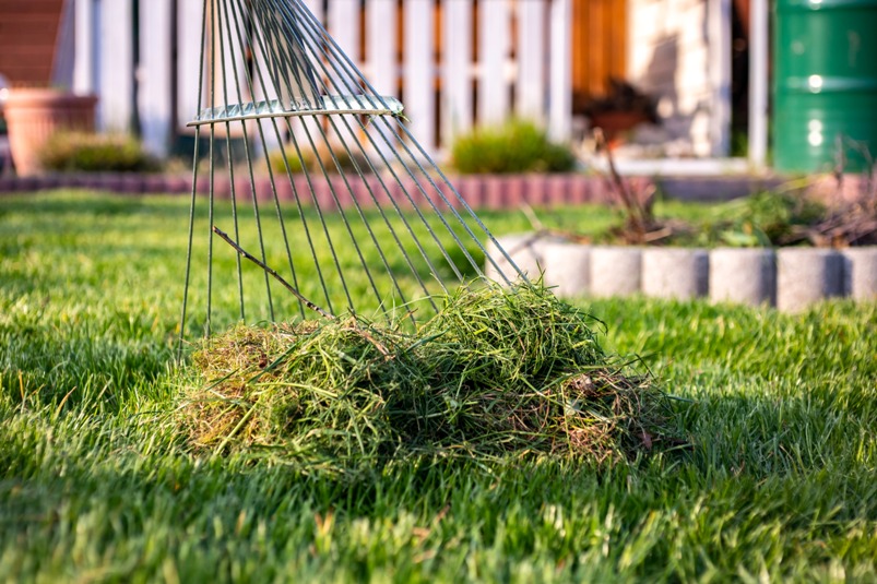 Effective Thatch Management for Healthy Lawns | Ground FX Lawn & Landscape