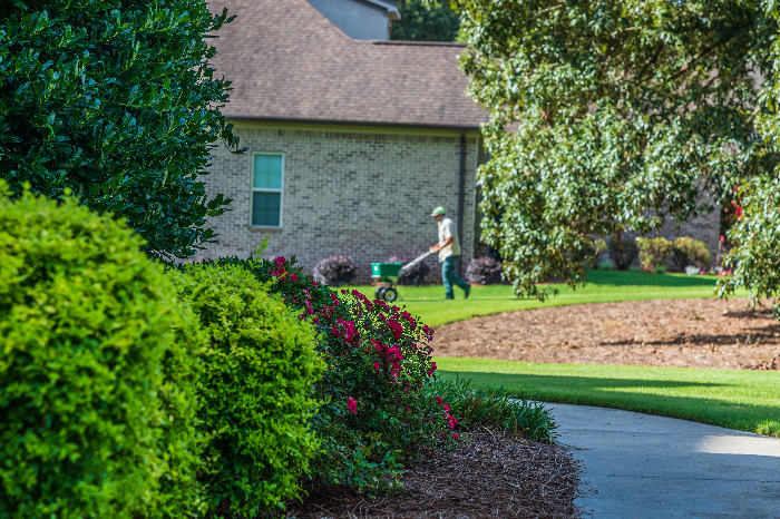 Spot Spraying vs. Blanket Weed Control: Which is Better for Lawns?