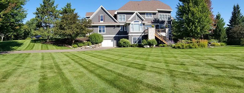 6 Essential Lawn Maintenance Tips for Every Season